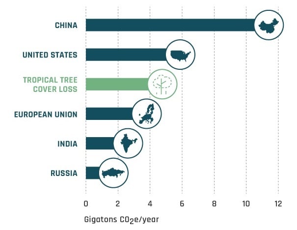 Deforestation And Forest Degradation Monitoring With Sar Satellites
